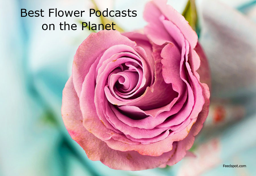 15 Best Flower Podcasts to Listen to in 2026
