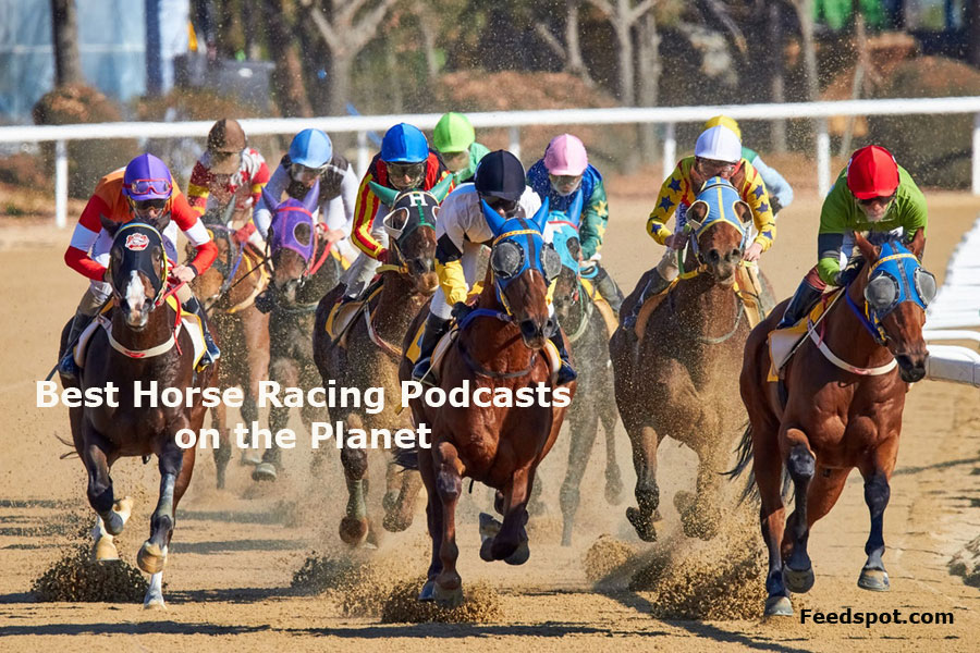 15 Best Horse Racing Podcasts to Listen to in 2026