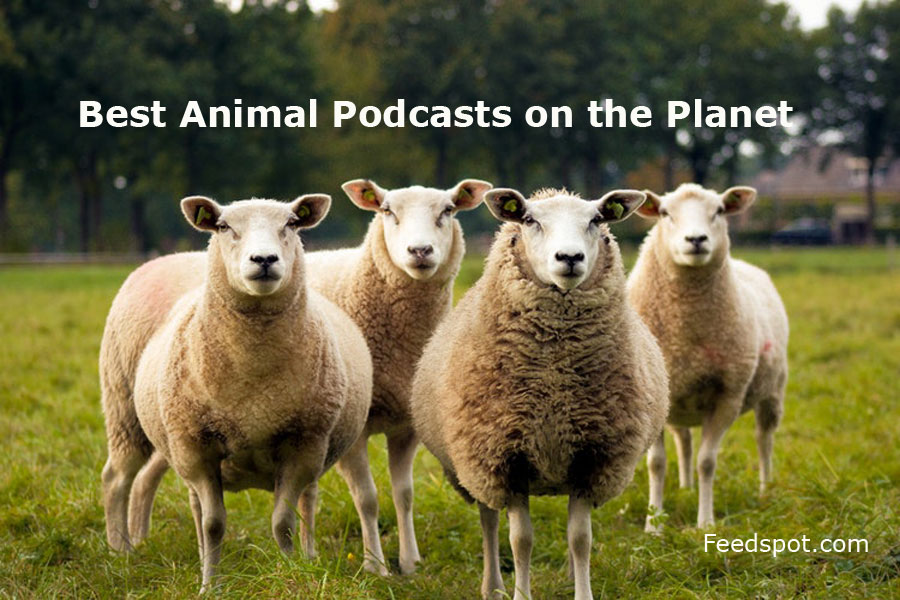 100 Best Animal Podcasts to Listen to in 2026