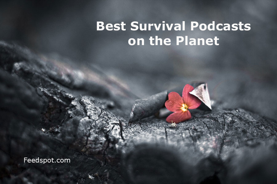 70 Best Survival Podcasts to Listen to in 2026