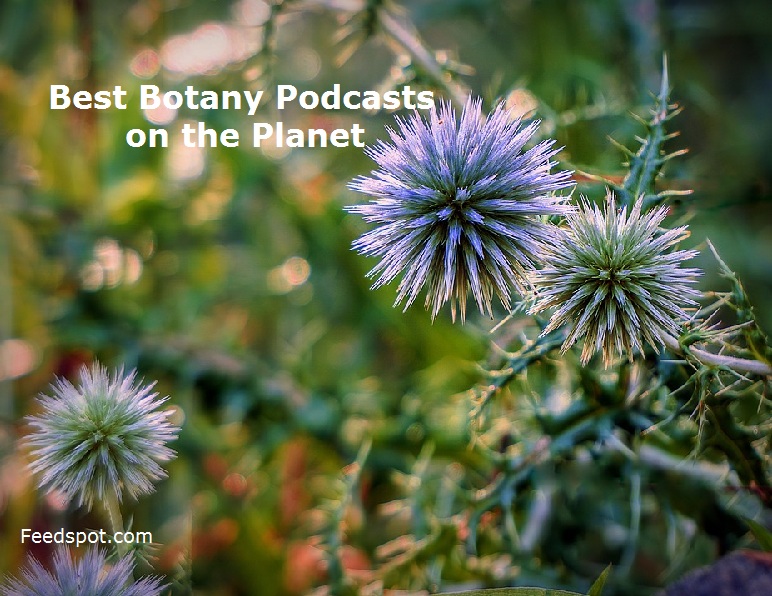 10 Best Botany Podcasts to Listen to in 2025