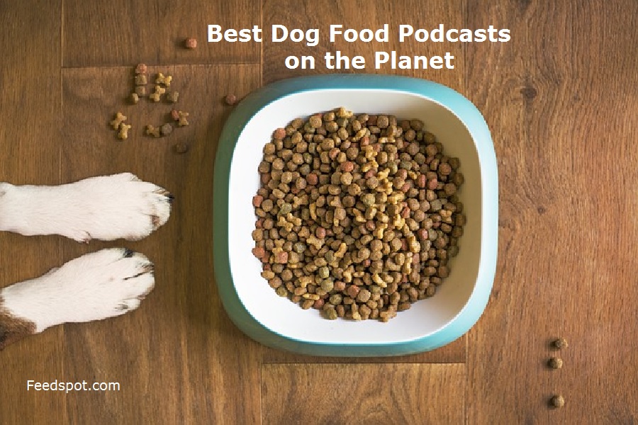 15 Best Dog Food Podcasts to Listen to in 2026