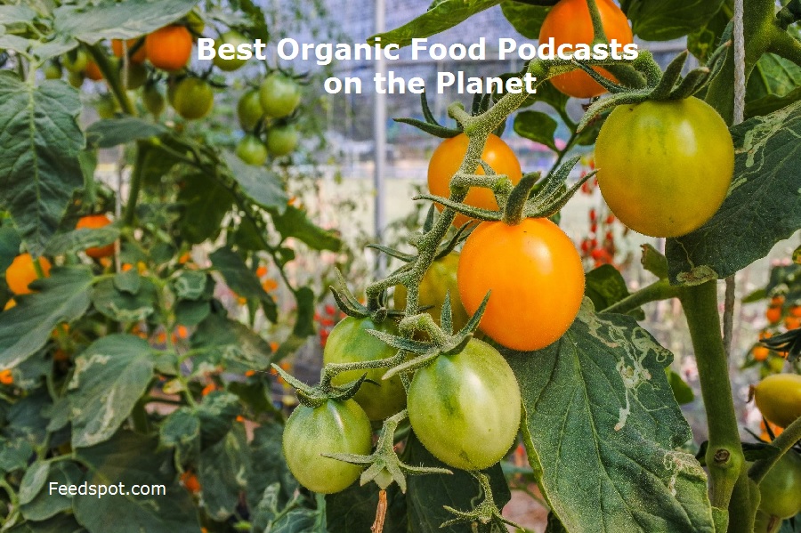 10 Best Organic Food Podcasts to Listen to in 2026