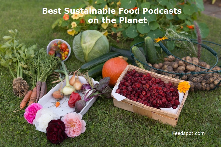 20 Best Sustainable Food Podcasts to Listen to in 2026